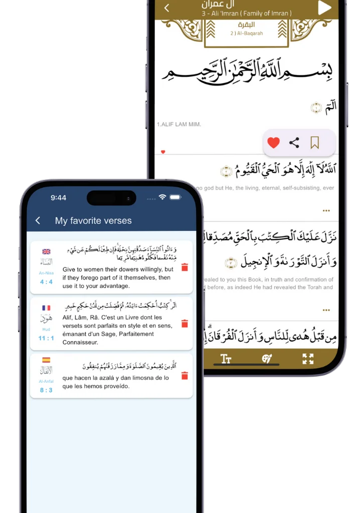 Daily Quran: Your Spiritual Guide on Mobile